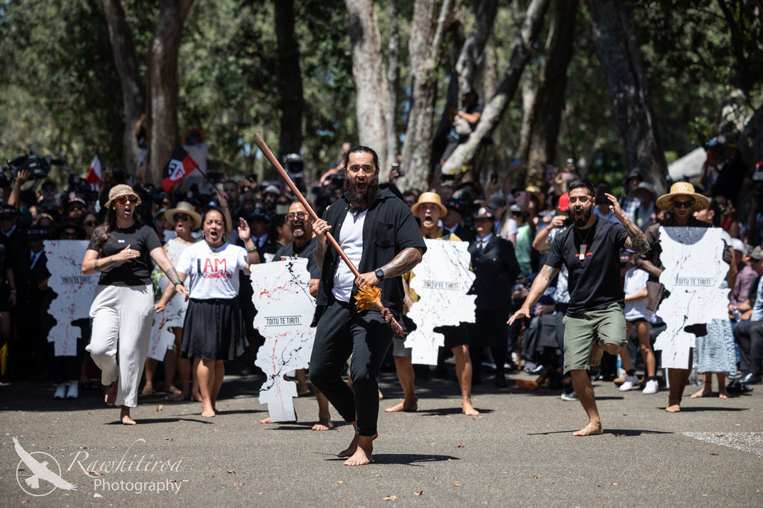 Toitū Te Tiriti – Toitu Te Tiriti